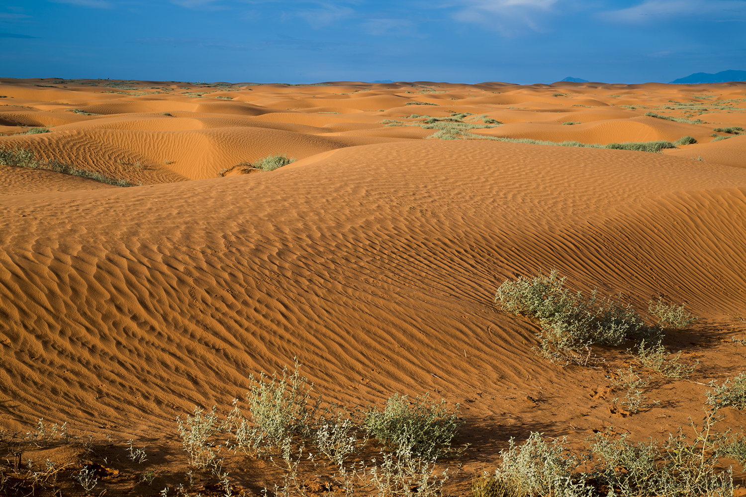 Utah Sand Dunes – Michael Russell Photography